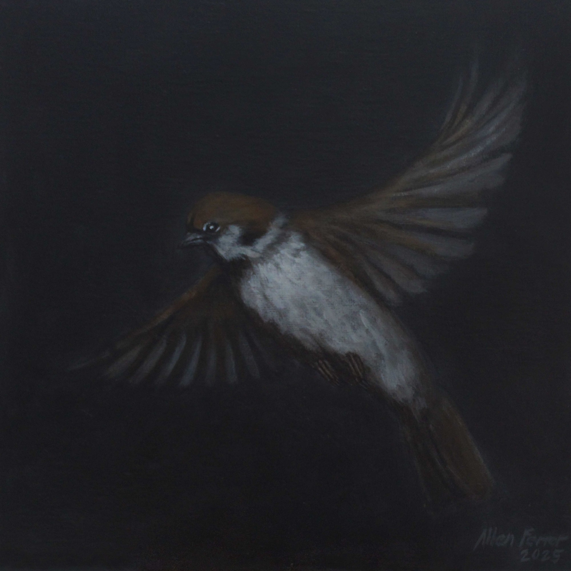 Allen Ferrer | Maya 1 (2025) | Available for Sale - FilipinoArt.ph