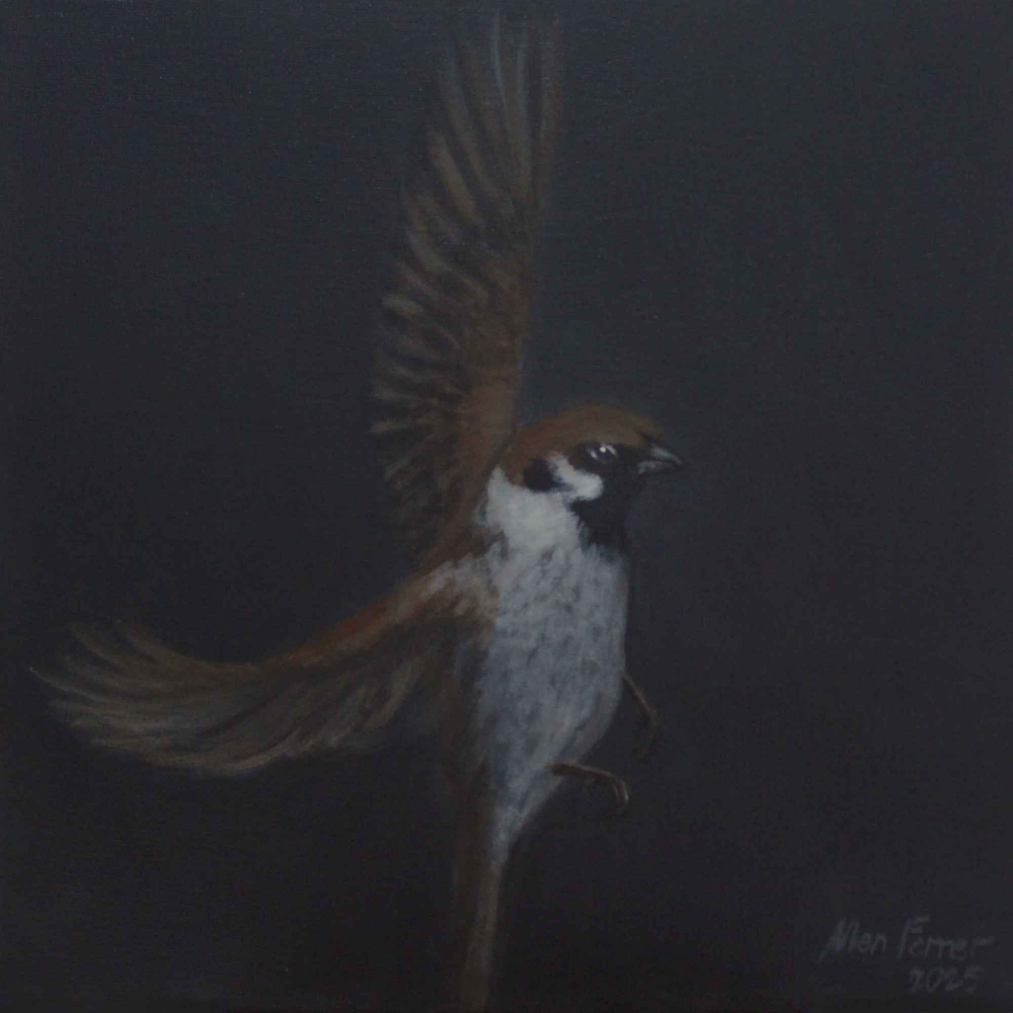 Allen Ferrer | Maya 2 (2025) | Available for Sale - FilipinoArt.ph