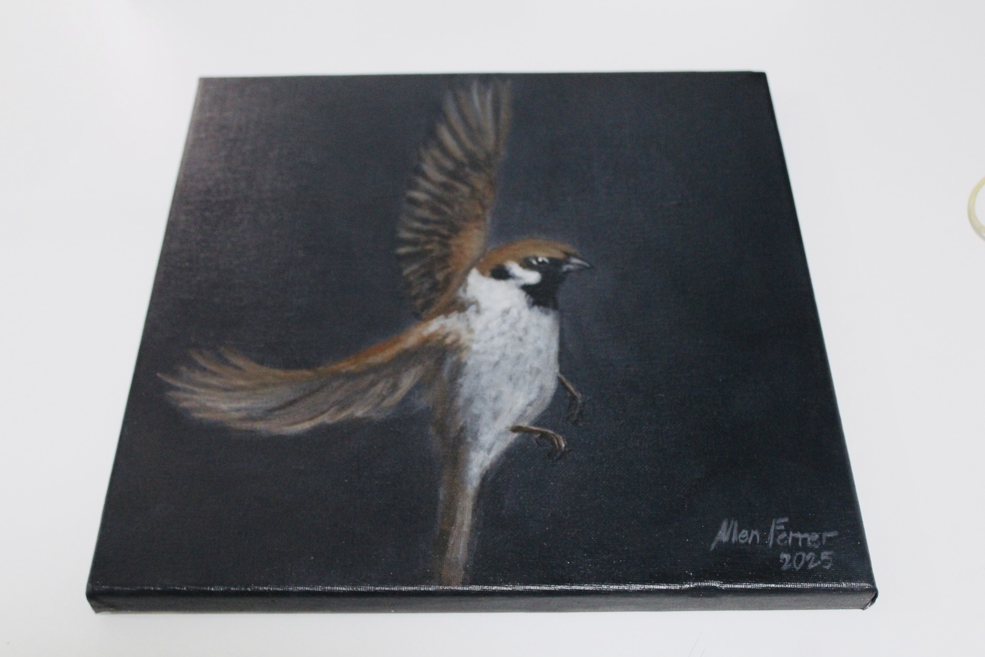 Allen Ferrer | Maya 2 (2025) | Available for Sale - FilipinoArt.ph