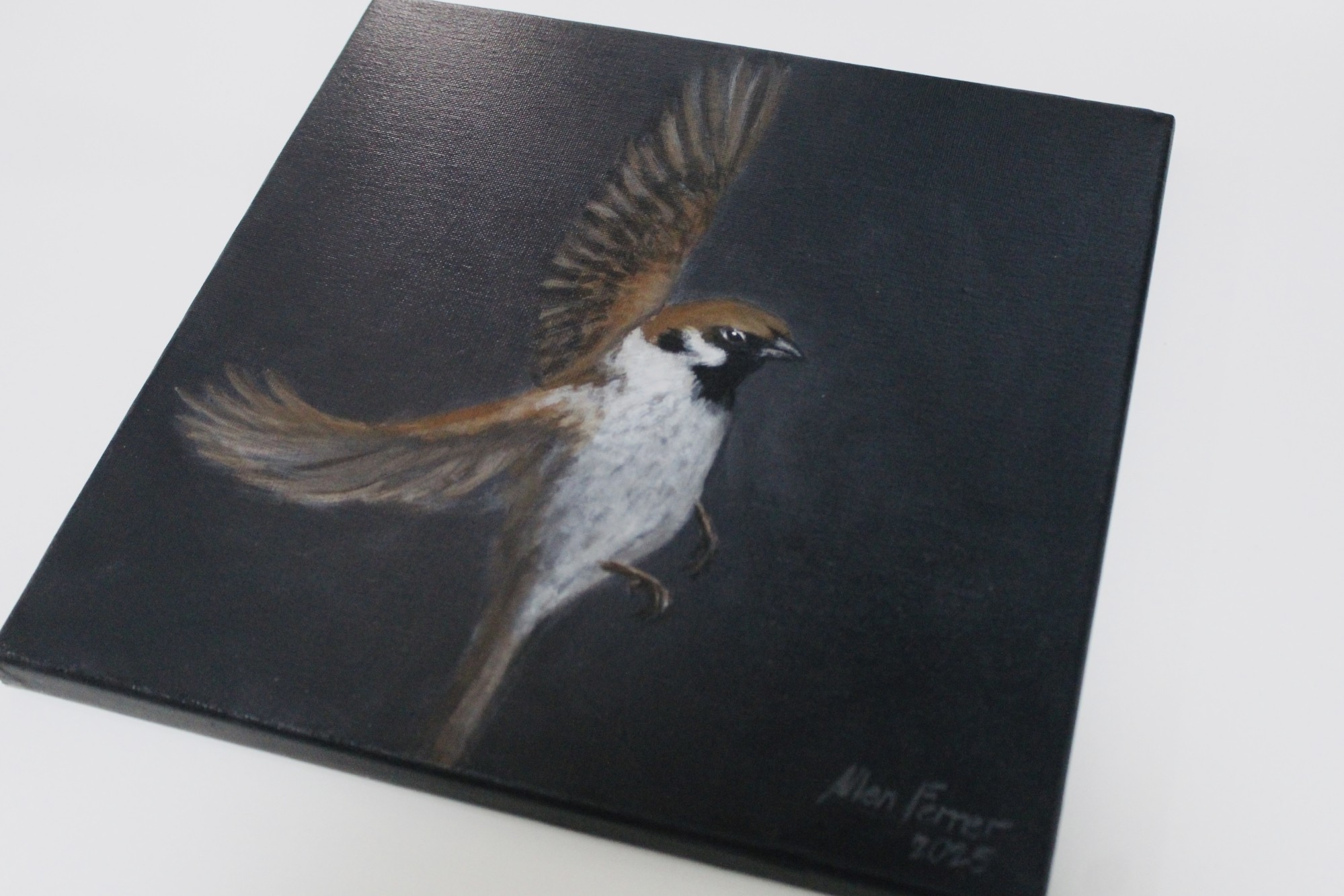 Allen Ferrer | Maya 2 (2025) | Available for Sale - FilipinoArt.ph